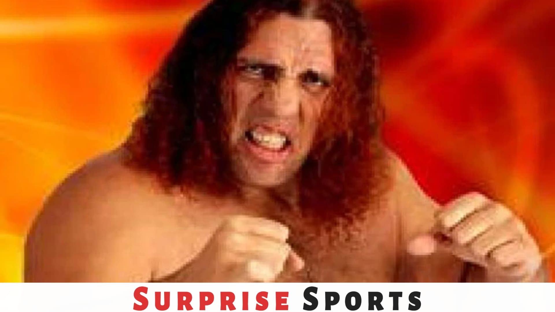Top 10 Tallest WWE Wrestlers in History [2024 Ranking] - Surprise Sports