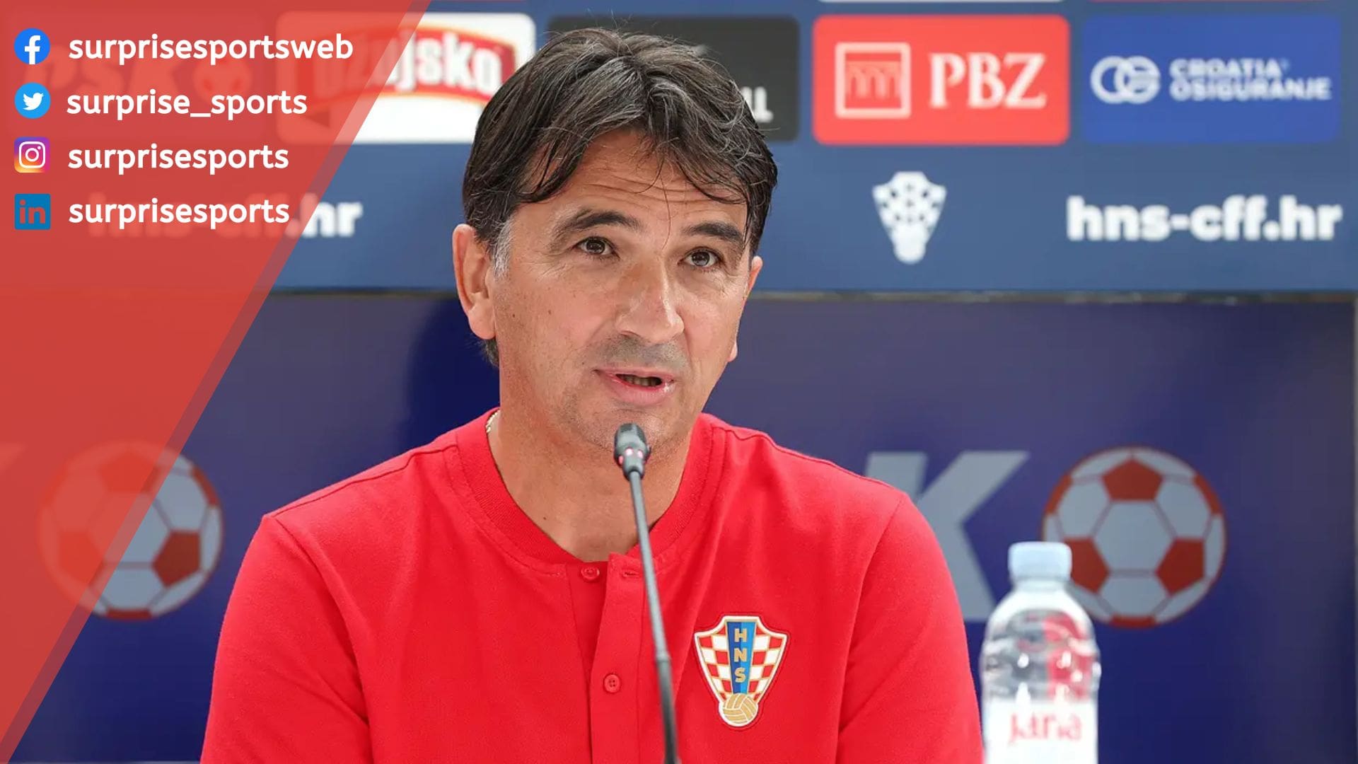 Zlatko Dalic 2024: Net Worth, Salary, and Earnings - Surprise Sports