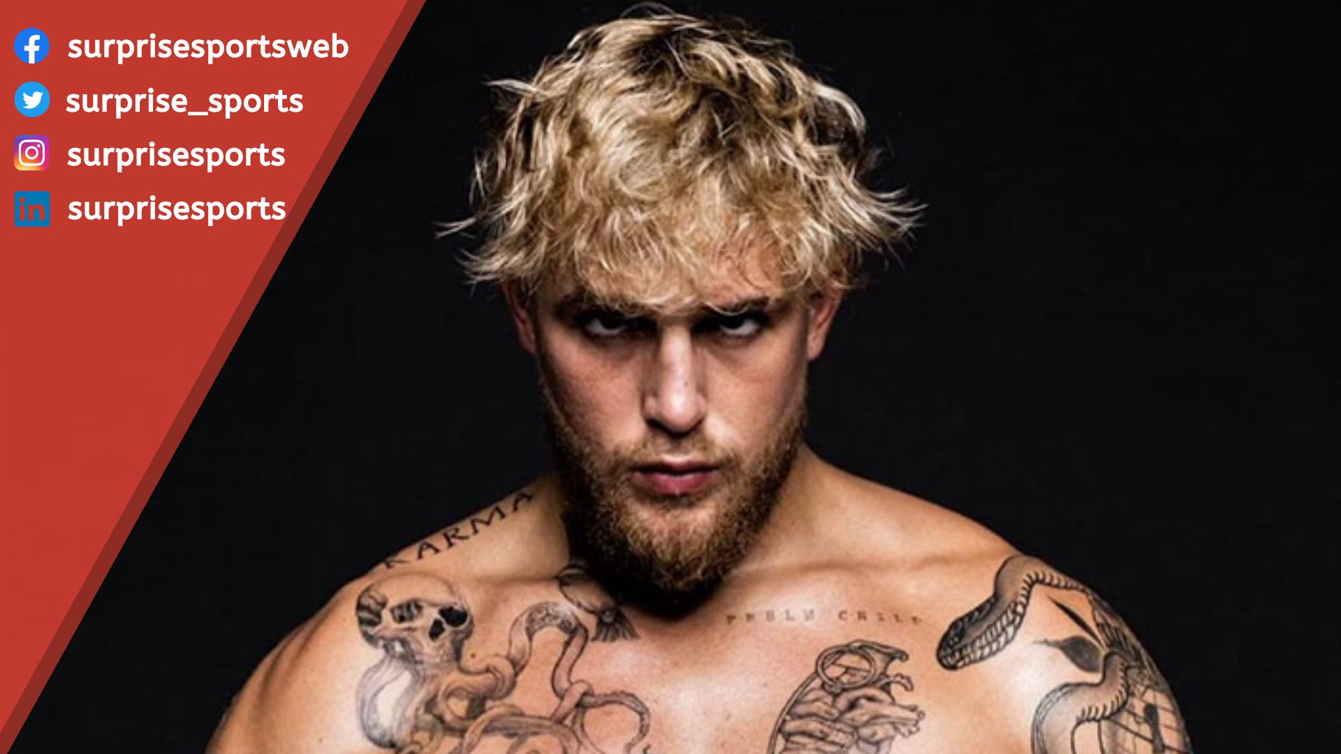 Jake Paul Net Worth, Career, and Earnings Details - Surprise Sports