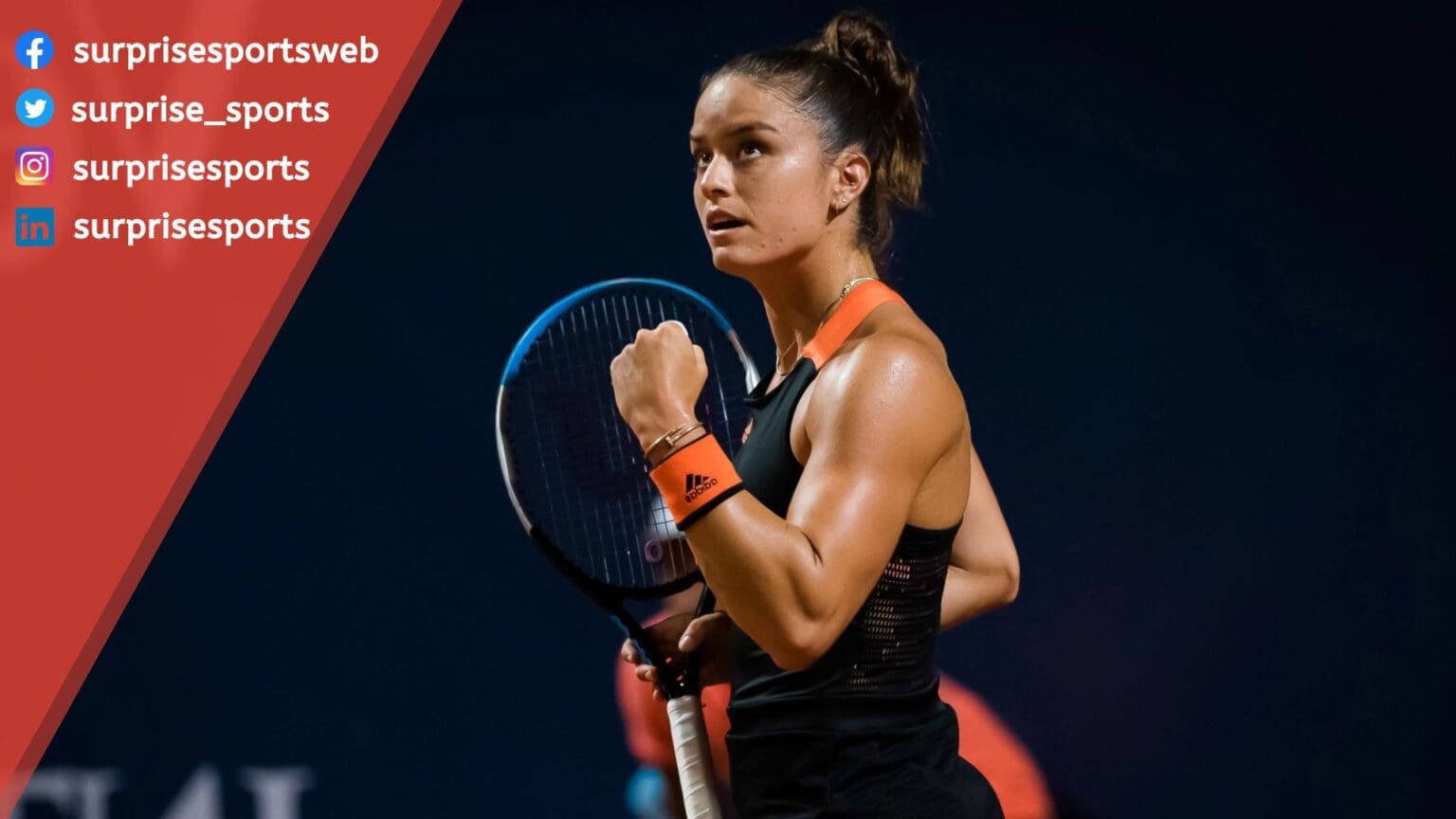 S1mple 2024: Net Worth, Salary, and Earnings - Surprise Sports