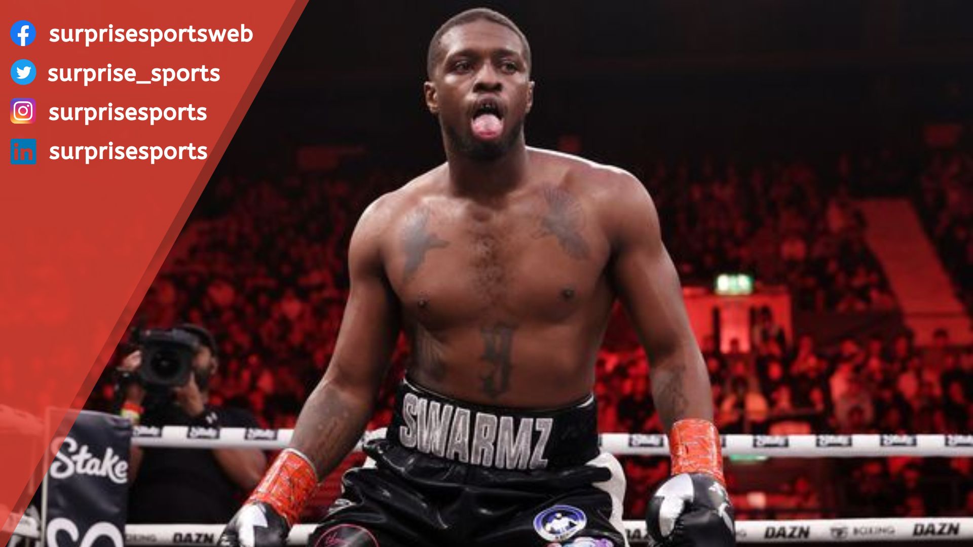 Swarmz 2024: Net Worth, Salary, and Earnings - Surprise Sports