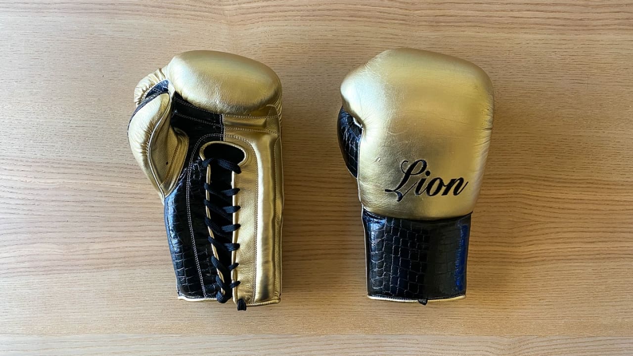 TopBoxer Alien Gloves Review: Quality Boxing Gloves At A Great Price ...