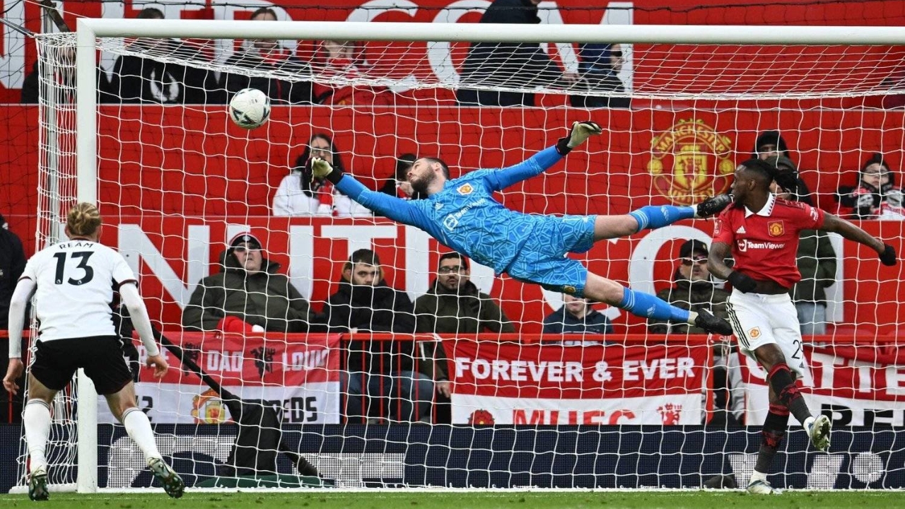 David De Gea 2025: Net Worth, Salary, Endorsement, Stats, Wife ...