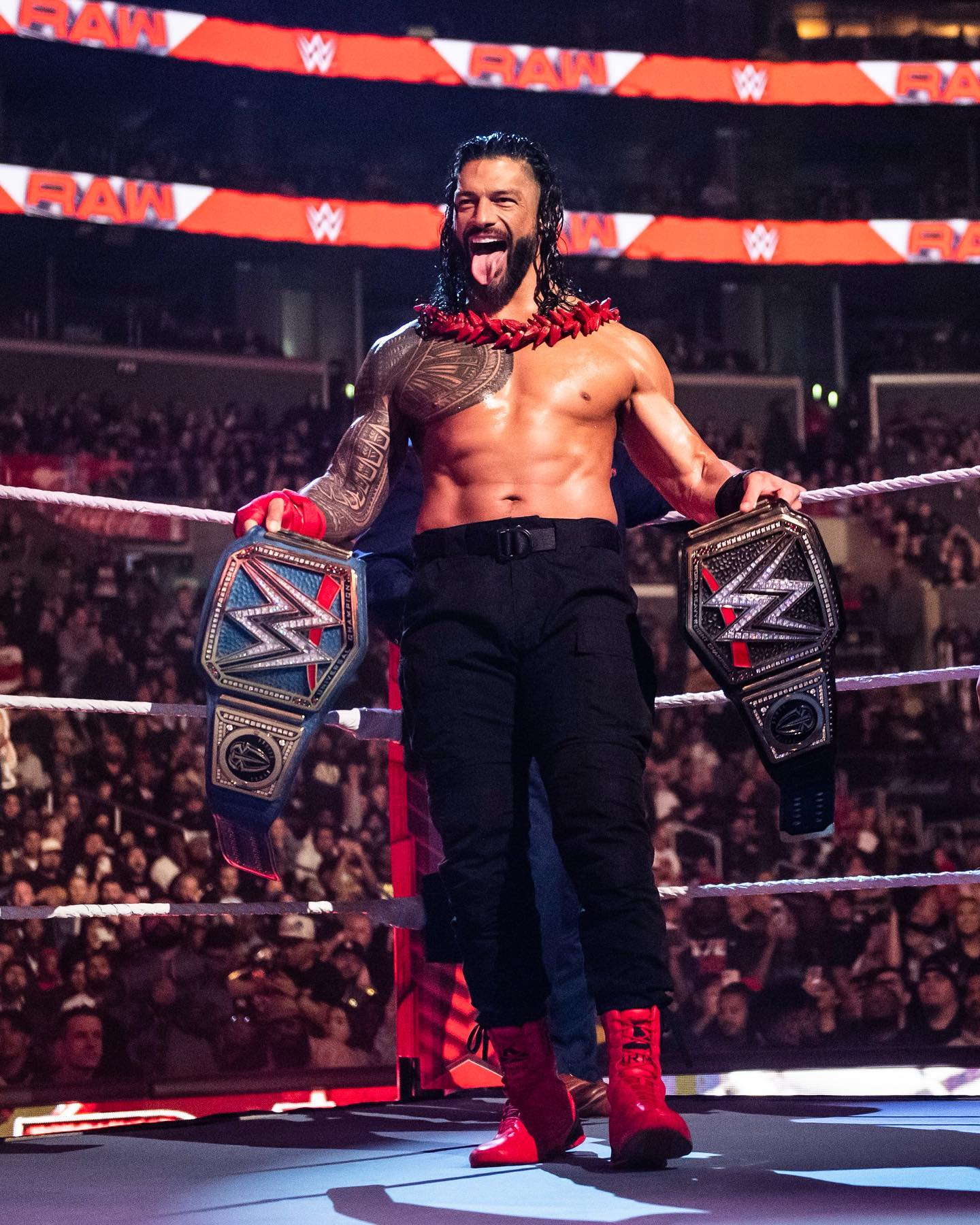 Roman Reigns 2024: Net Worth, Salary, and Earnings - Surprise Sports