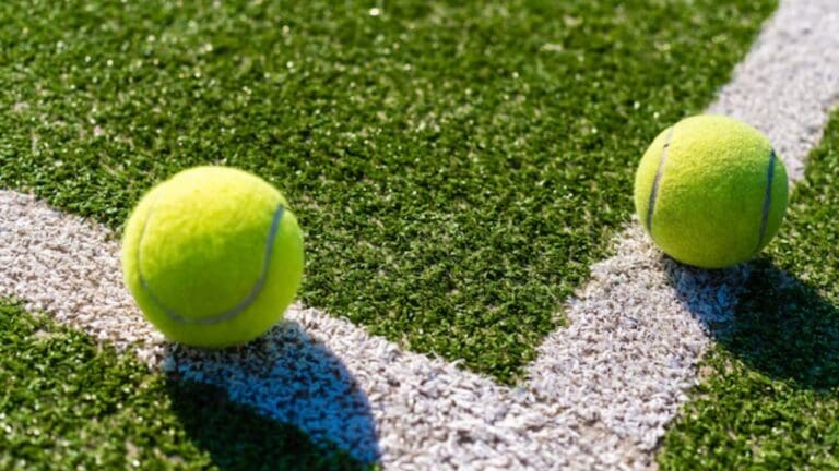How Big is a Standard Tennis Ball - Surprise Sports