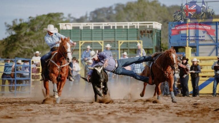 How Much are Rodeo Entry Fees - Surprise Sports