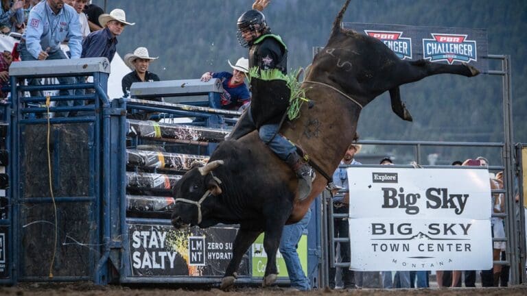 What is a Calcutta in Rodeo? - Surprise Sports