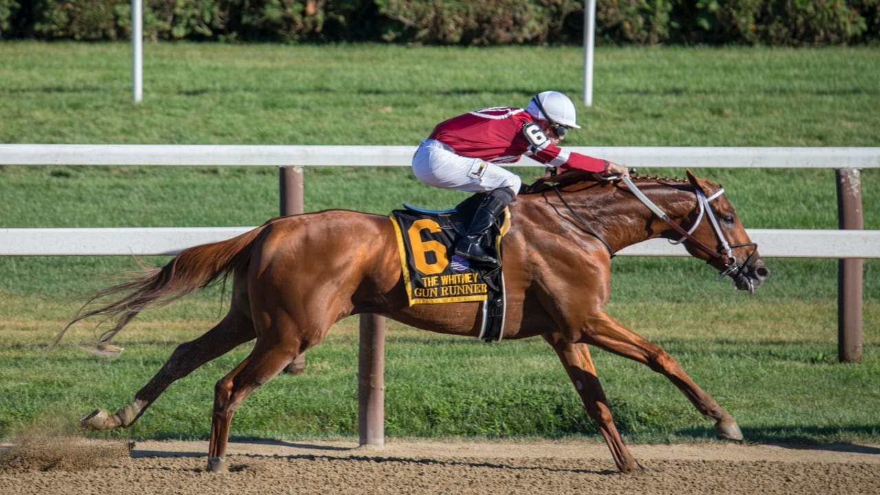 What is the Length in Horse Racing? - Surprise Sports