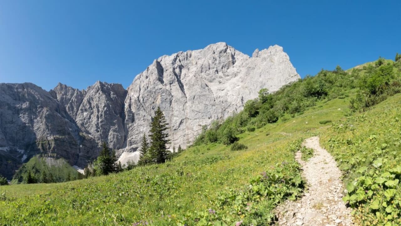 Trail Triumphs: Tackling the Eagle Walk from Sections to Summit ...