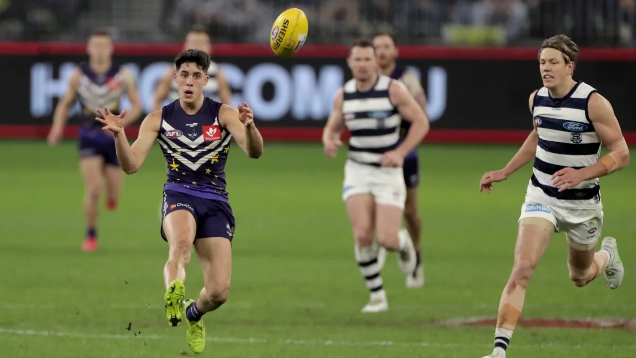 Adam Cerra 2025: Net Worth, Career Earnings, Stats, Salary - Surprise ...