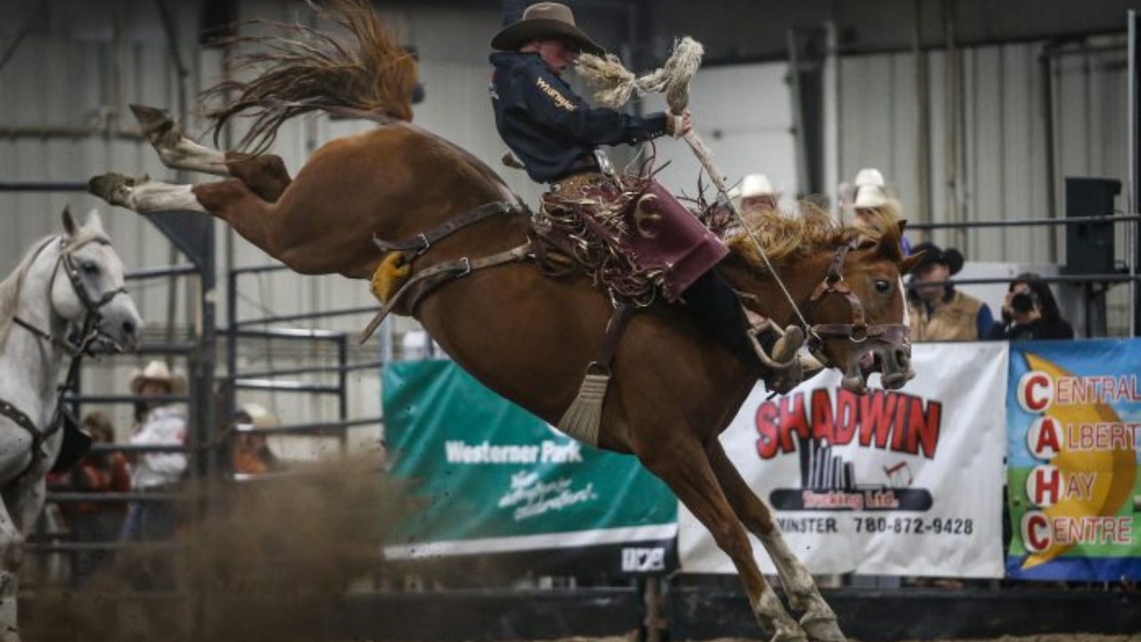 Ben Andersen 2025: Net Worth, Career Earnings, and Stats - Surprise Sports