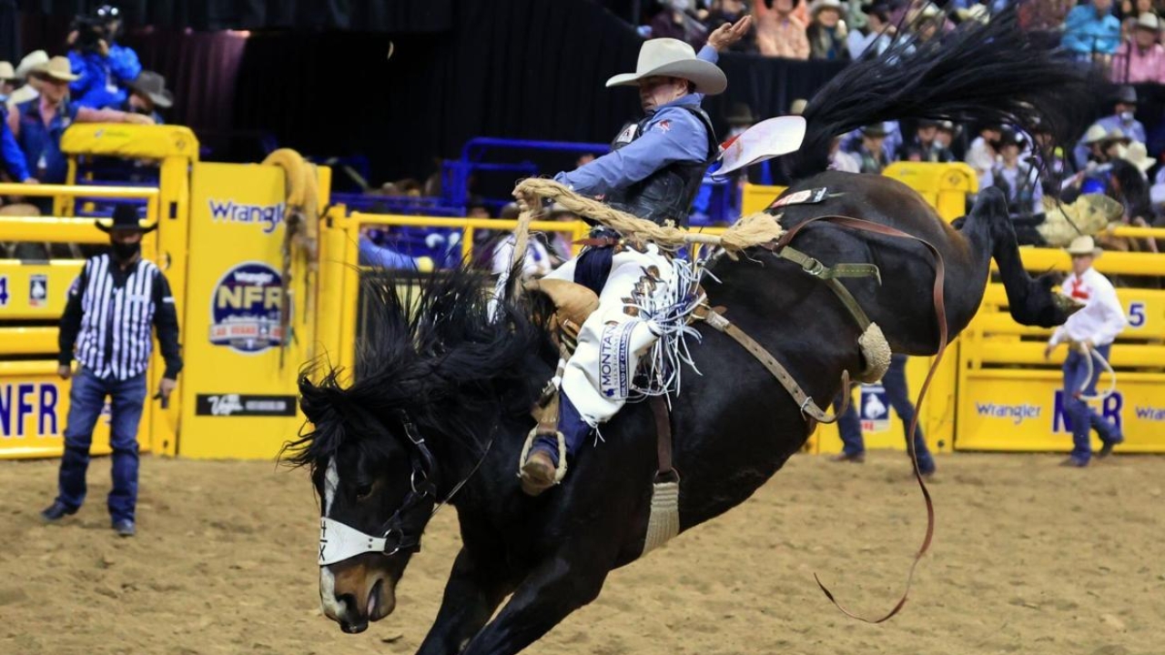 Chase Brooks 2025: Net Worth, Career Earnings, and Stats - Surprise Sports