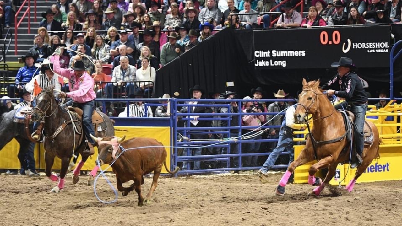 Clint Summers 2025: Net Worth, Career Earnings, Wife - Surprise Sports