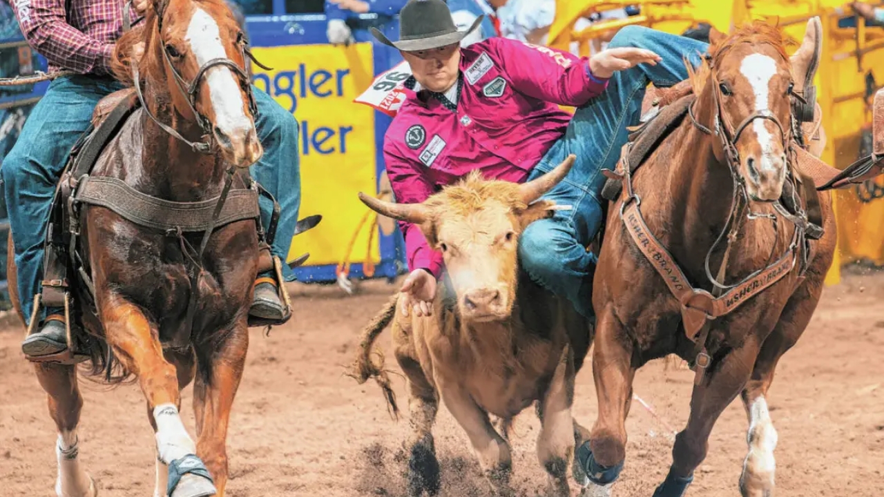 Cody Devers Net Worth in 2025: Career Earnings, Endorsements - Surprise ...