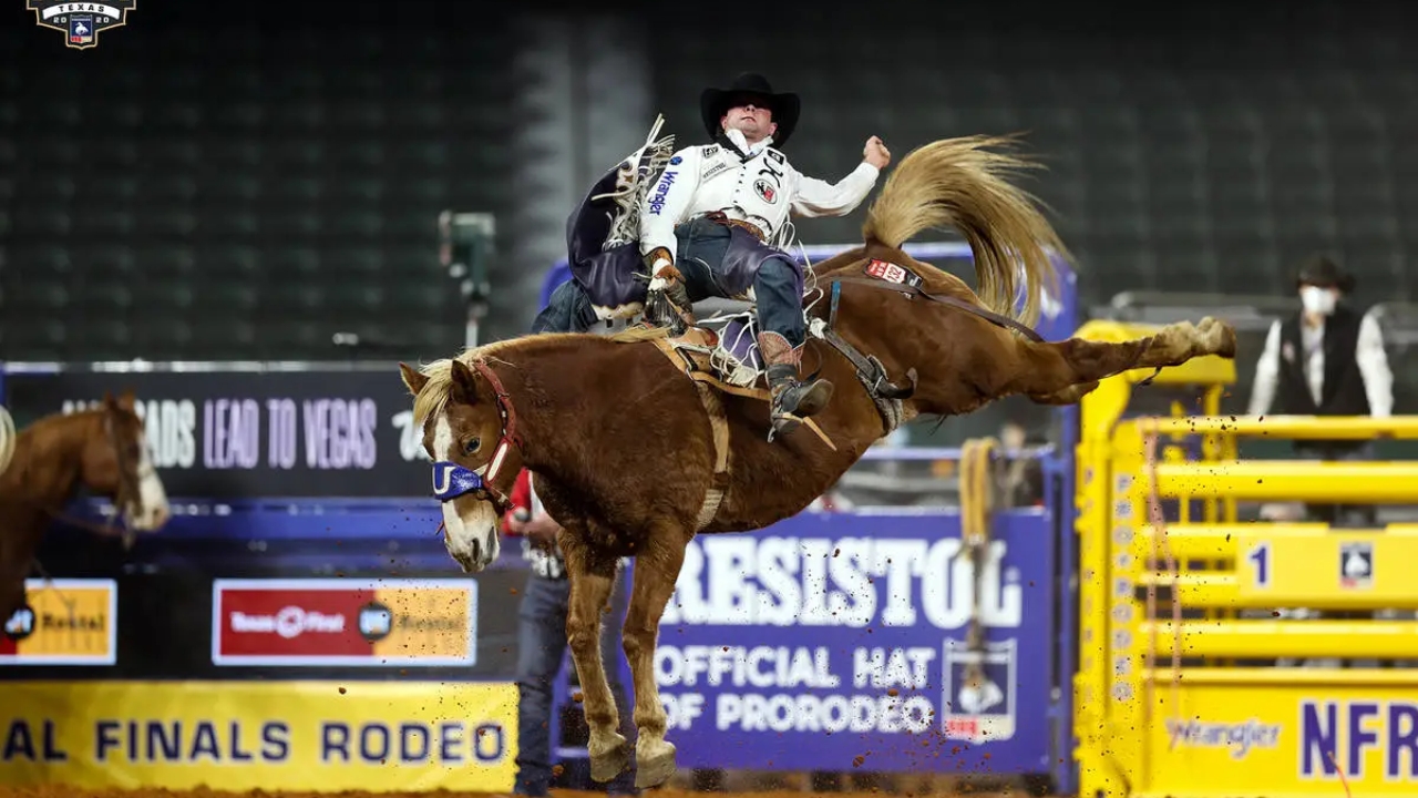 Cole Reiner 2025: Net Worth, Earnings and Stats - Surprise Sports