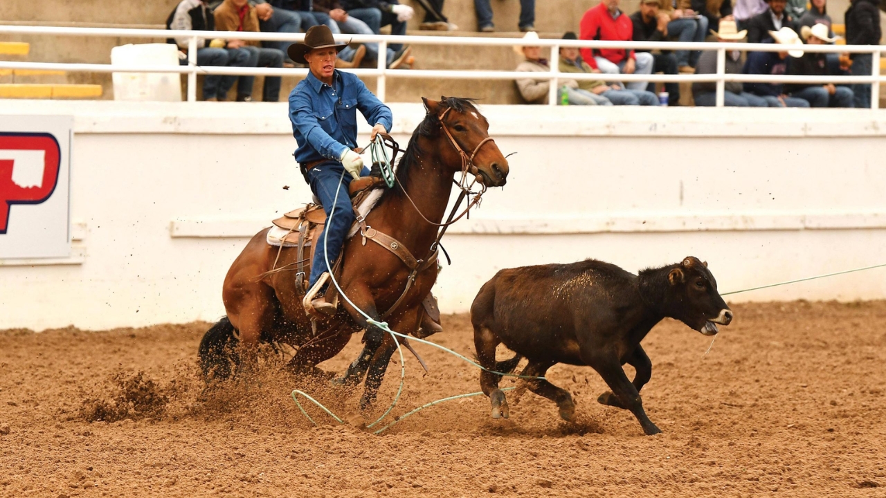 Colter Todd 2025: Net Worth, Career Earnings, and Stats - Surprise Sports