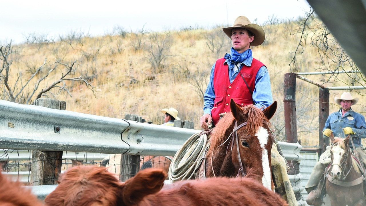 Omar Morales 2024: Net Worth, Salary, Career Earnings, Endorsement ...