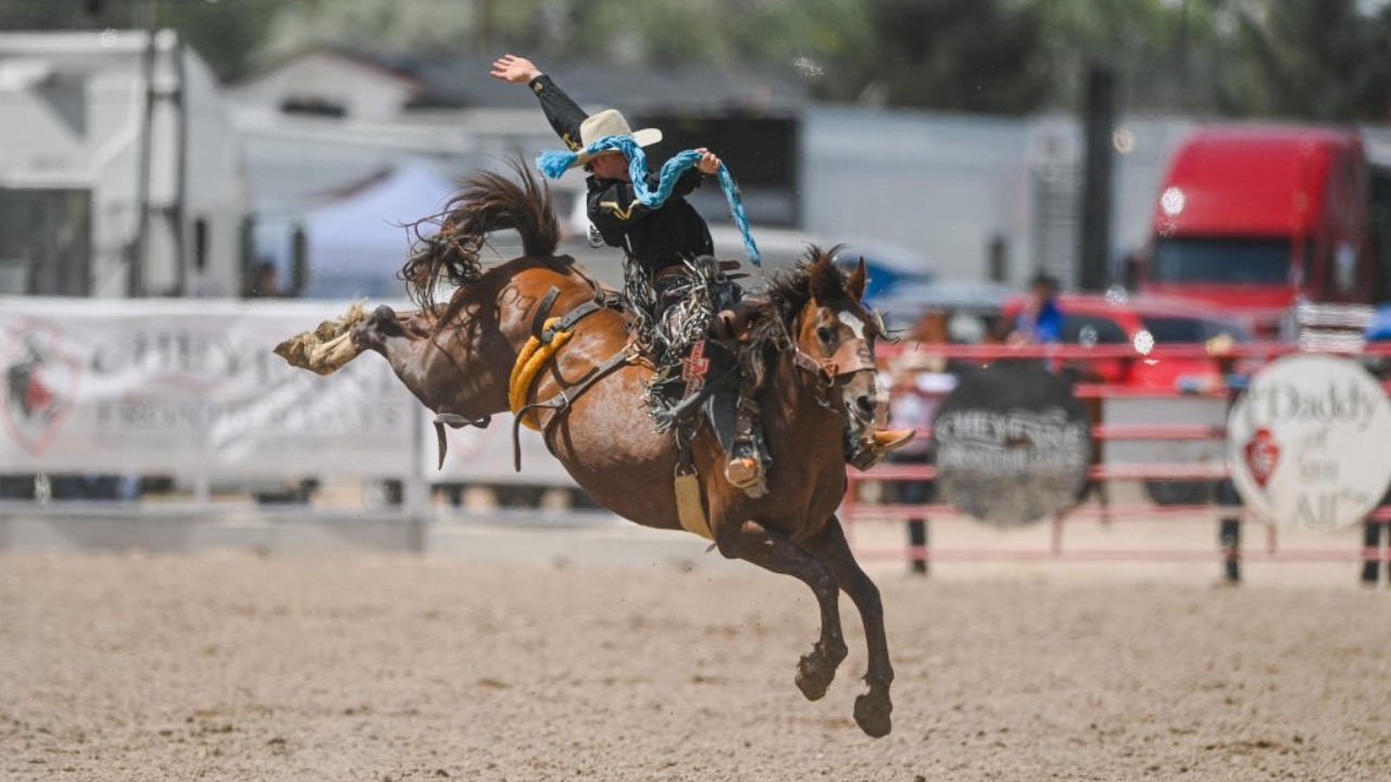 Dawson Hay 2025: Net Worth, Career Earnings, and Stats - Surprise Sports