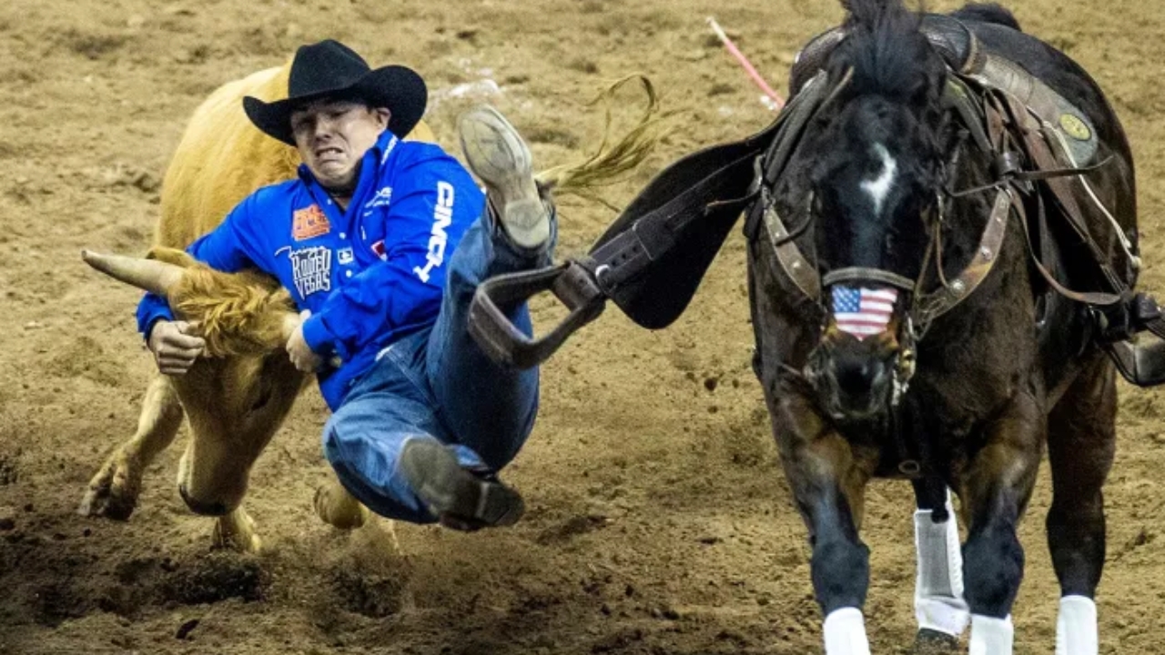 Dirk Tavenner 2025: Net Worth, Career Earnings, and Stats - Surprise Sports