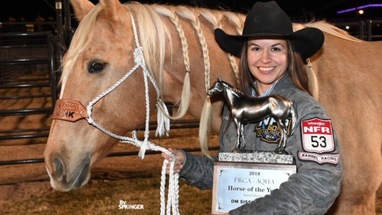 Hailey Kinsel 2025: Net Worth, Earnings and Stats - Surprise Sports