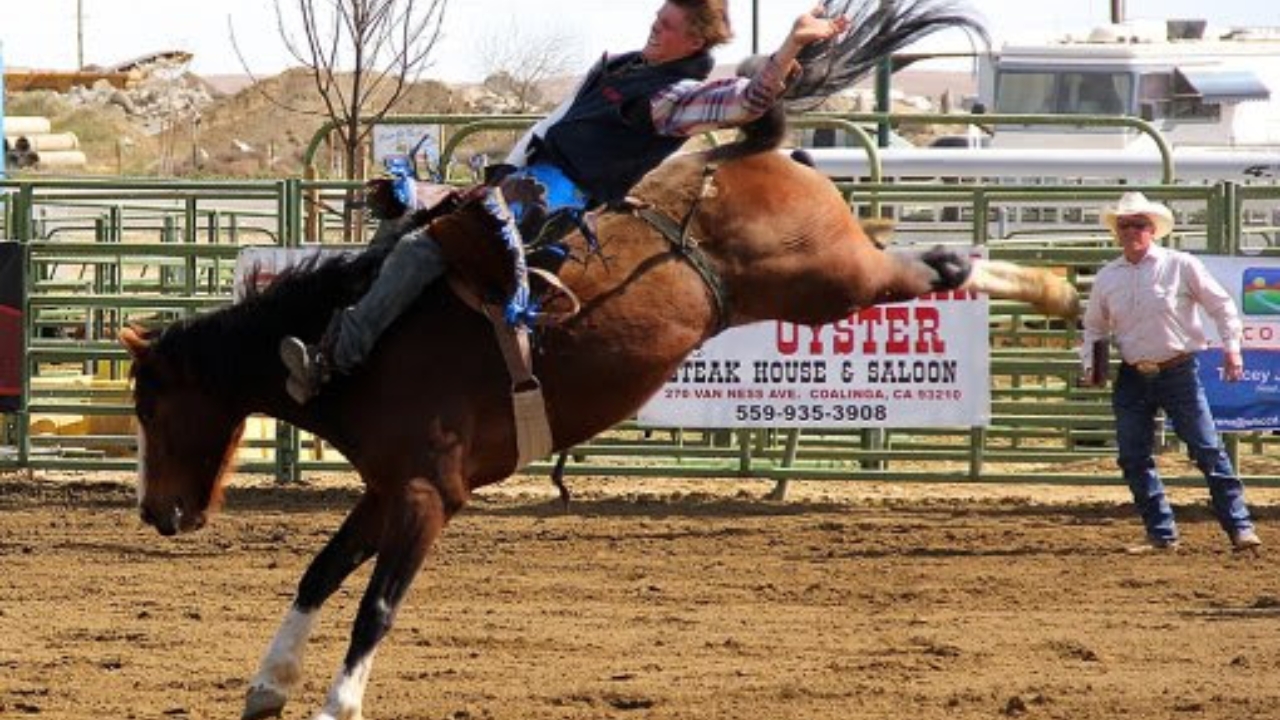 Jacob Lees 2025: Net Worth, Career Earnings, and Stats - Surprise Sports