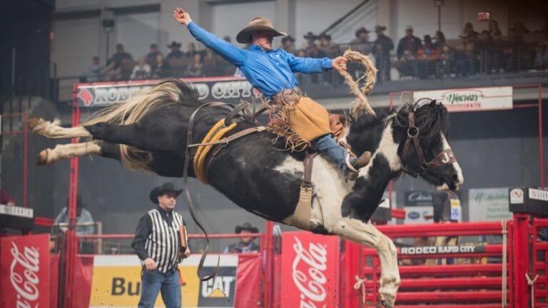 Jayco Roper 2025: Net Worth, Earnings and Stats - Surprise Sports