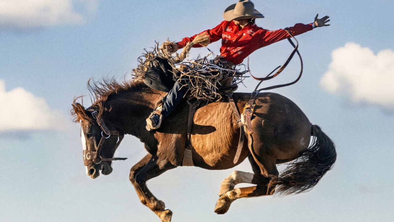 Kade Bruno 2025: Net Worth, Career Earnings, and Stats - Surprise Sports