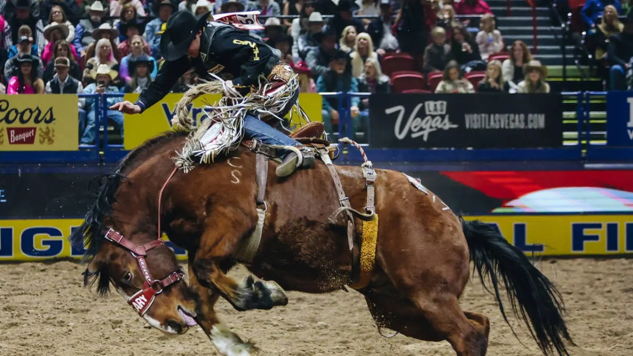 Layton Green 2025: Net Worth, Earnings, and Stats - Surprise Sports