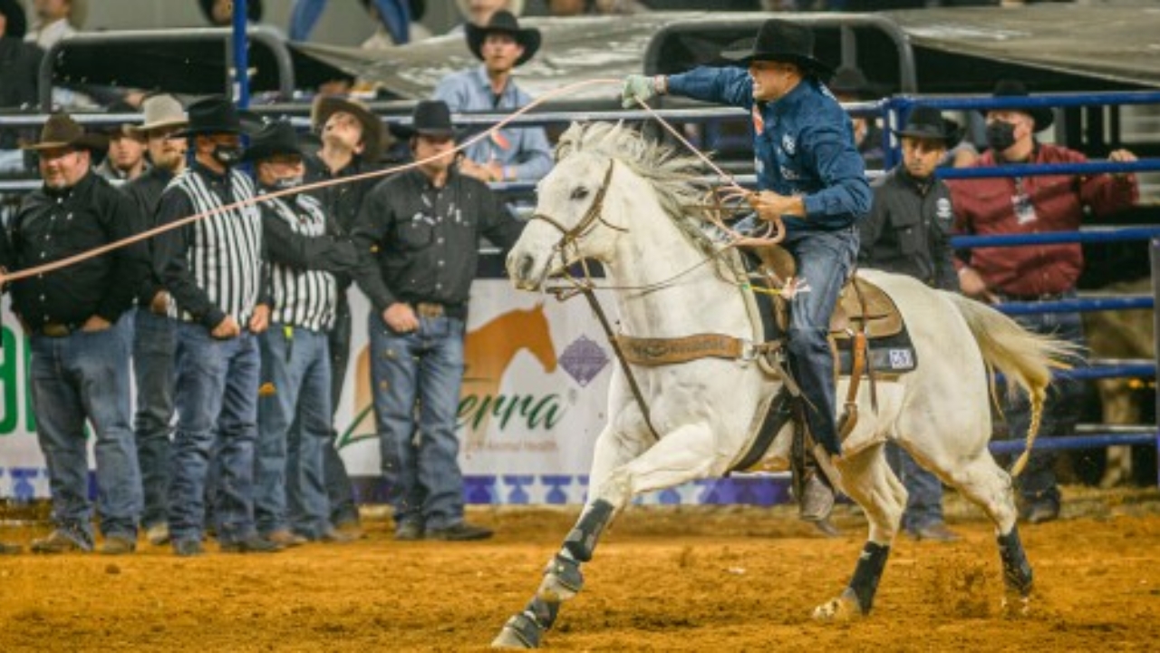 Nelson Wyatt 2025: Net Worth, Career Earnings, and Stats - Surprise Sports