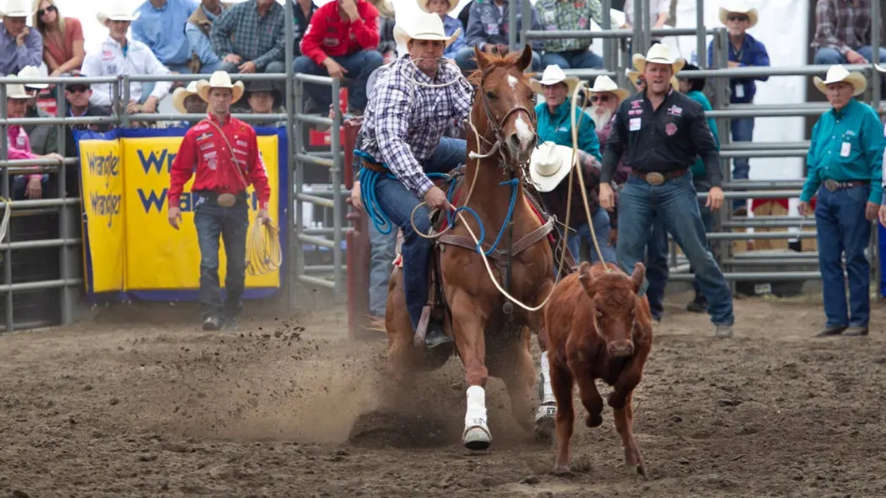 Rhen Richard 2025: Net Worth, Career Earnings, and Stats - Surprise Sports