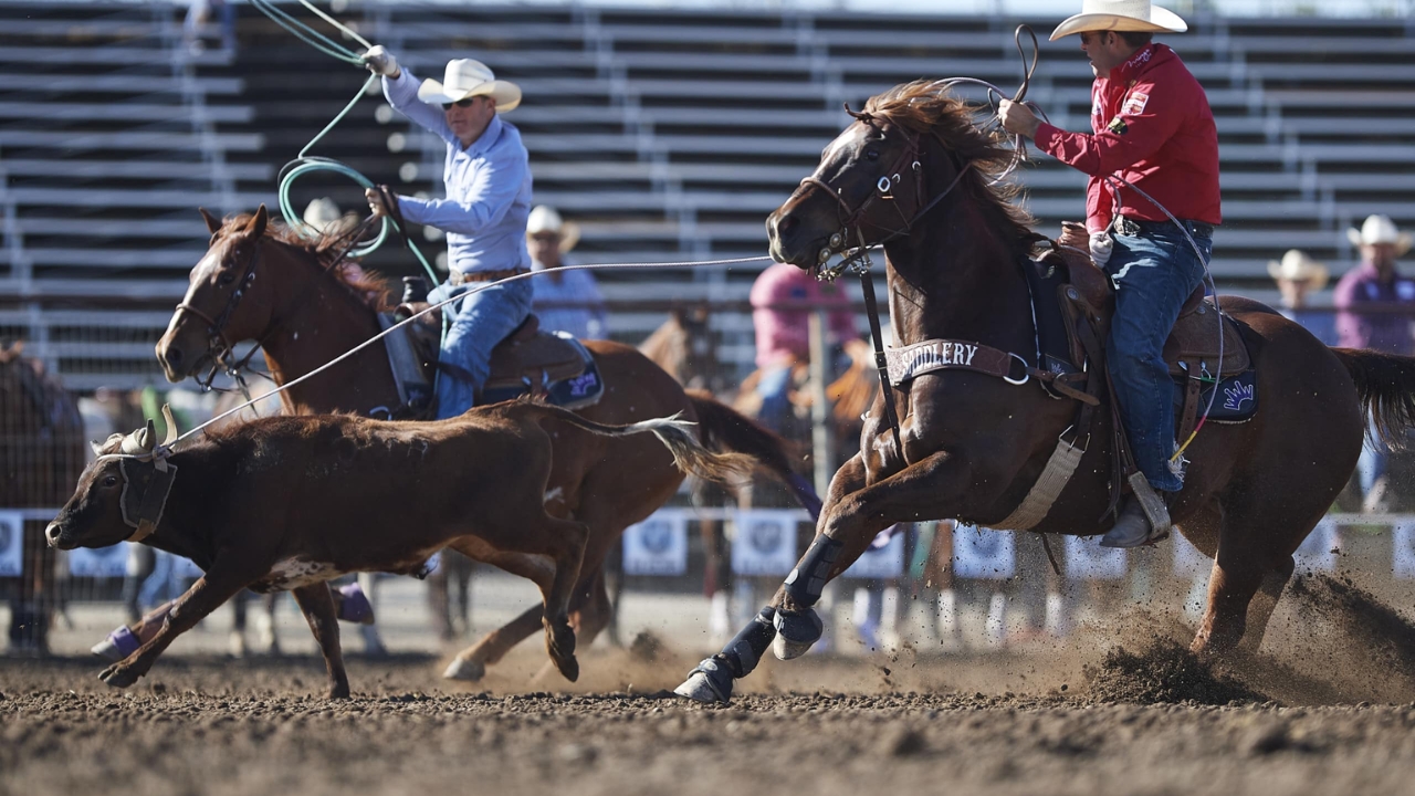 Riley Minor 2025: Net Worth, Earnings and Stats - Surprise Sports