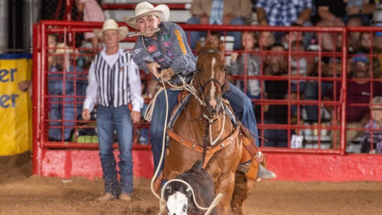 Riley Webb 2025: Net Worth, Career Earnings, and Stats - Surprise Sports