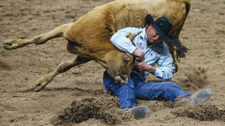 How Much are Rodeo Entry Fees - Surprise Sports