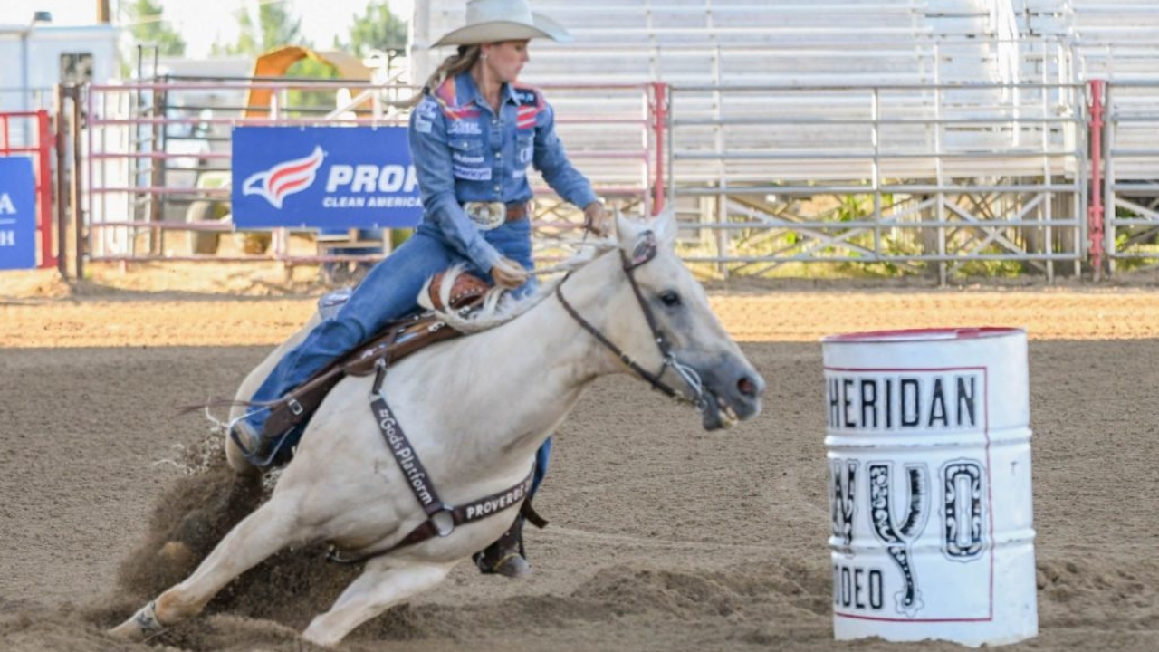 Stevi Hillman 2025: Net Worth, Career Earnings and Stats - Surprise Sports