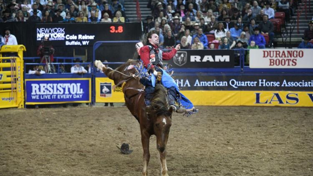 Tanner Butner 2025: Net Worth, Earnings, and Stats - Surprise Sports