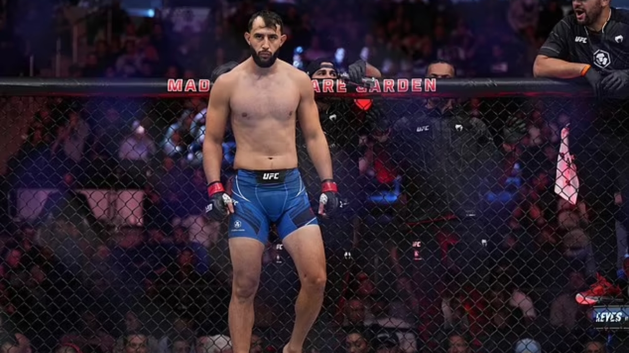 Dominick Reyes 2025: Net Worth, Fight Purses, Girlfriend - Surprise Sports