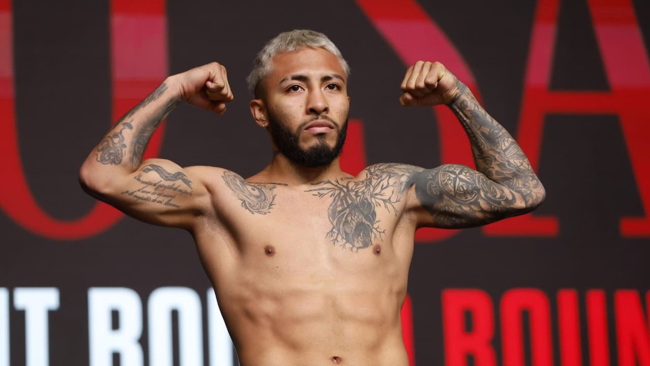 Pieter-Steph du Toit 2024: Net Worth, Career Earnings, Salary, Stats ...