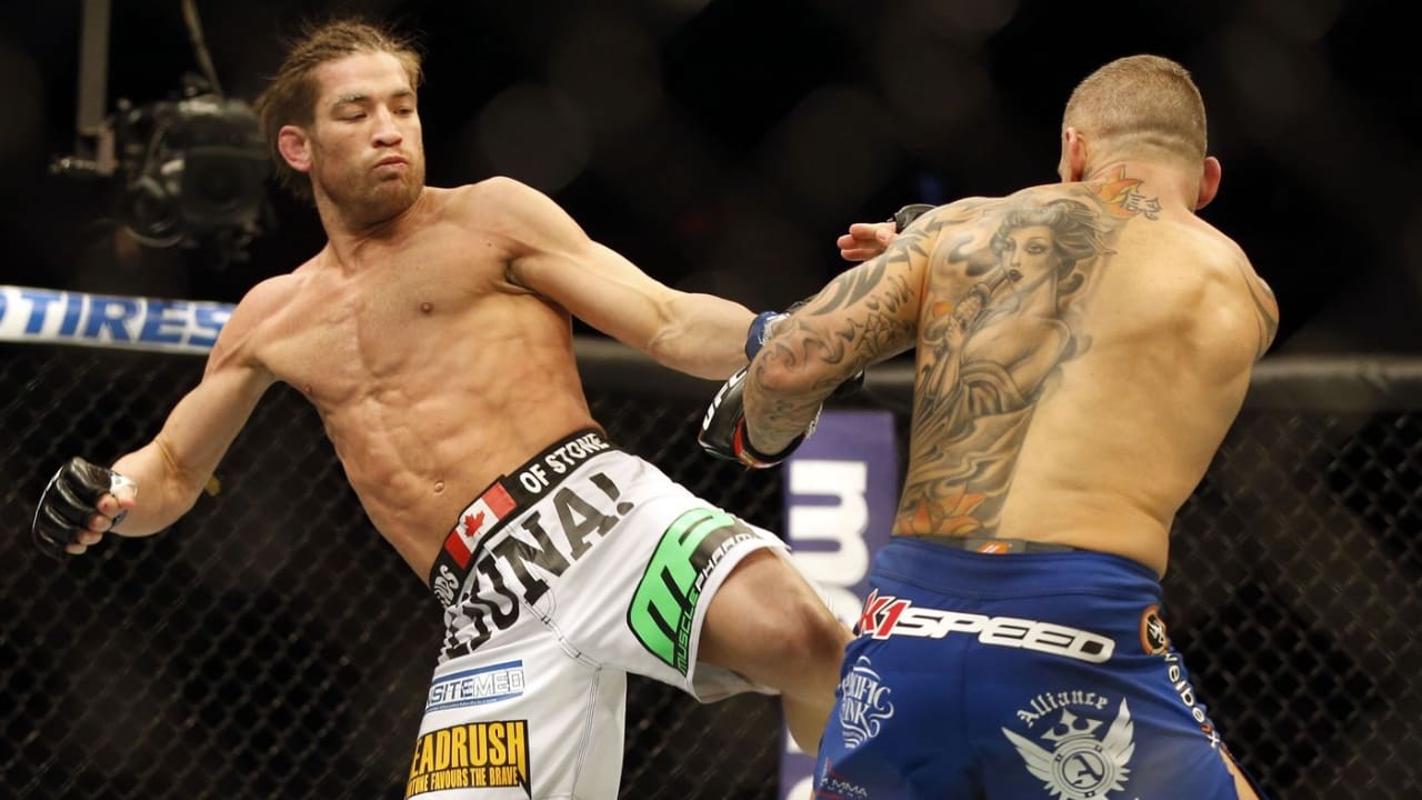 Sam Stout 2025: Net Worth, Records, Fight Purses - SurpriseSports