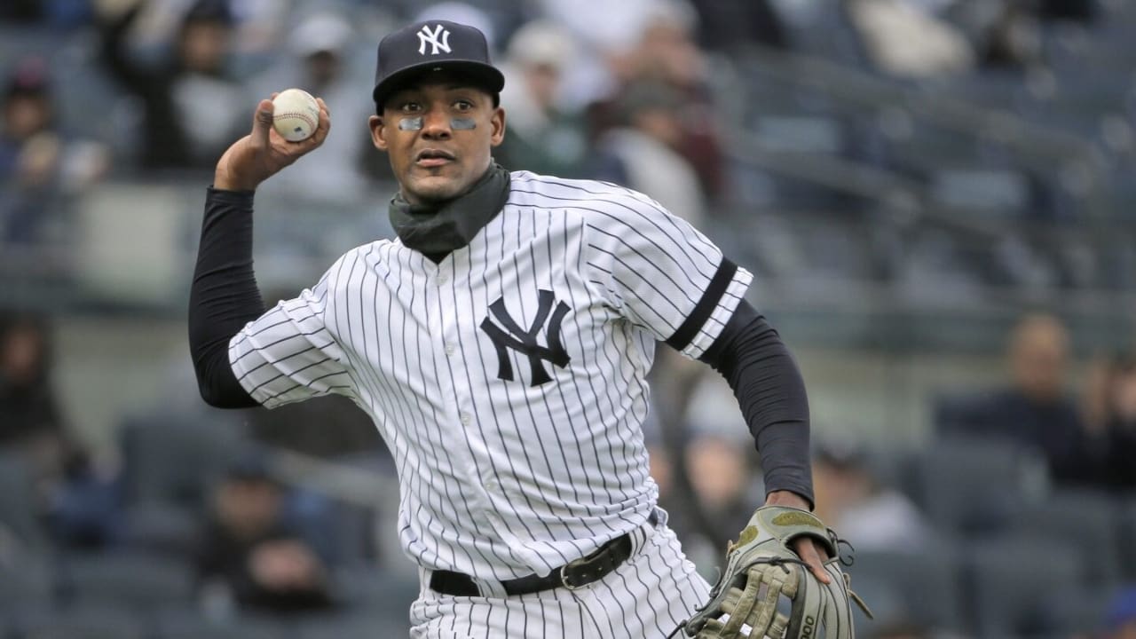 Deji Olatunji 2025: Net Worth, Fight Purses, Records - Surprise Sports