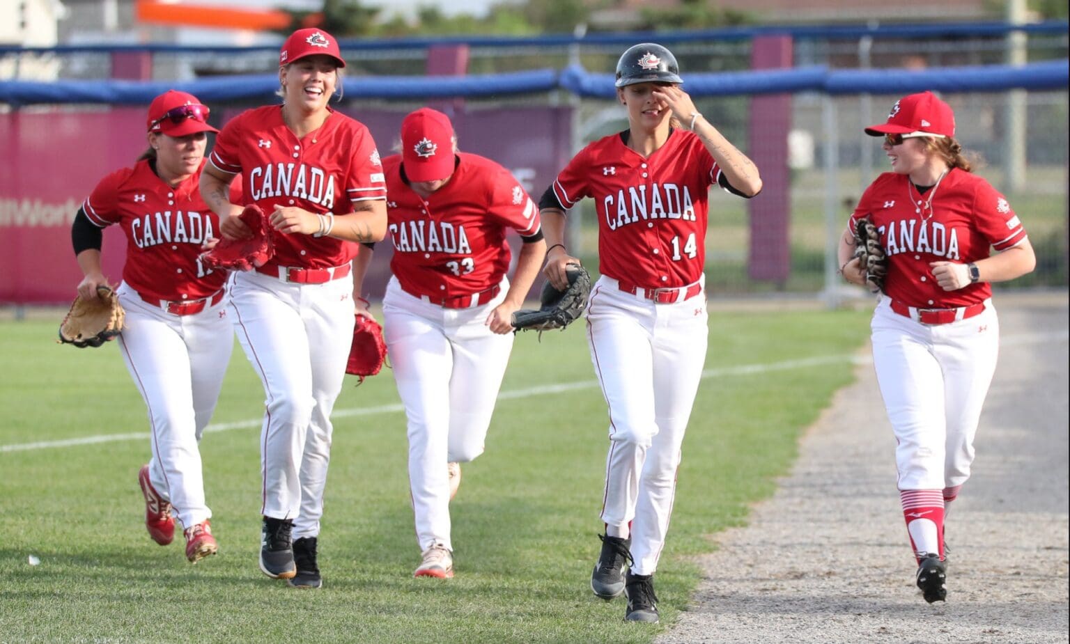 Baseball in Canada: A Unique Legacy and a Growing Passion - Surprise Sports