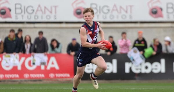 Albert Ramos-Vinolas 2025: Net Worth, Salary, and Earnings - Surprise ...