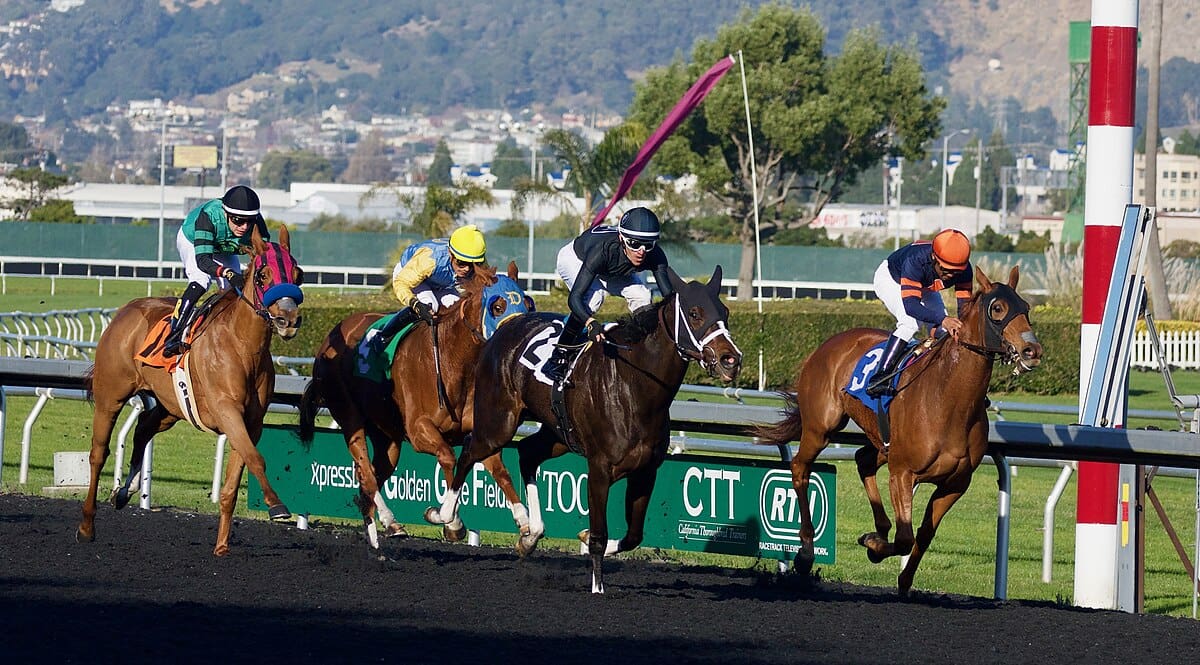 How to read a horse racing track: a beginner-friendly Australian guide ...